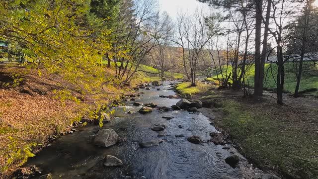 Белокуриха туманная-24_День 5