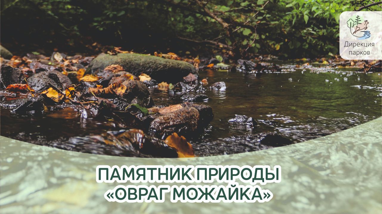 Памятник природы «Овраг Можайка» (ООПТ)