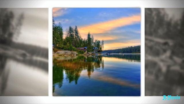 Fungus - Green River