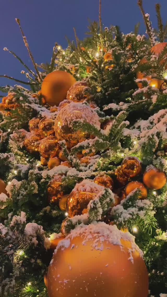 Новогодние локации