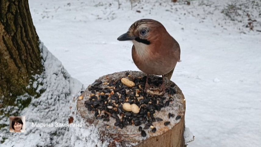 Экотерапия 69 серия.