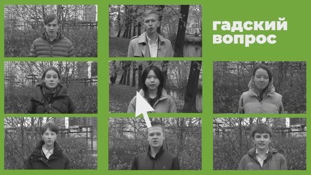 Между прочим. Гадский вопрос. Какую ящерицу проще всего держать дома?