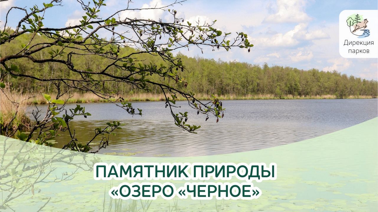 Памятник природы «Озеро Черное» (ООПТ)