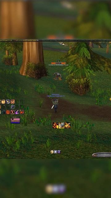 World of Warcraft Борьба со слизнями Ты всегда мой друг Оркус и чё мы падаем