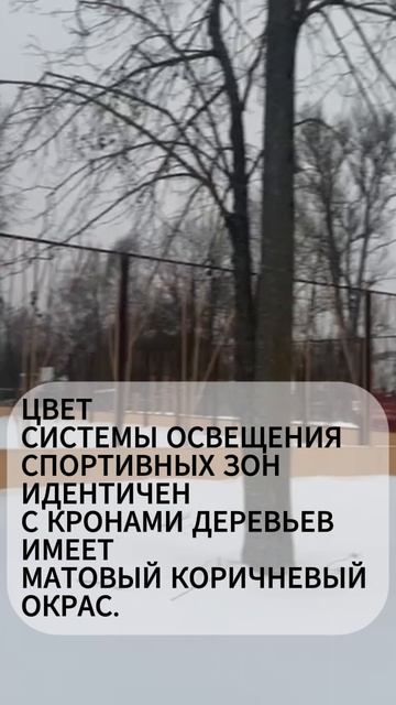 Творческий парк Обнорского г. Грязовец Вологодской области, подбор и поставка световых опор освещ.