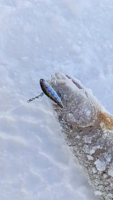 Раттлин 60 мм 14,5 гр № 99 от Mr.Musurok в деле 🎣