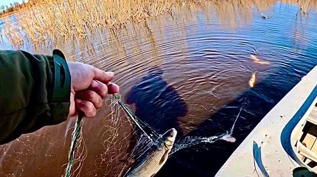 Сети кишат рыбой. Проверяем сети и фитили. Рыбалка на севере.