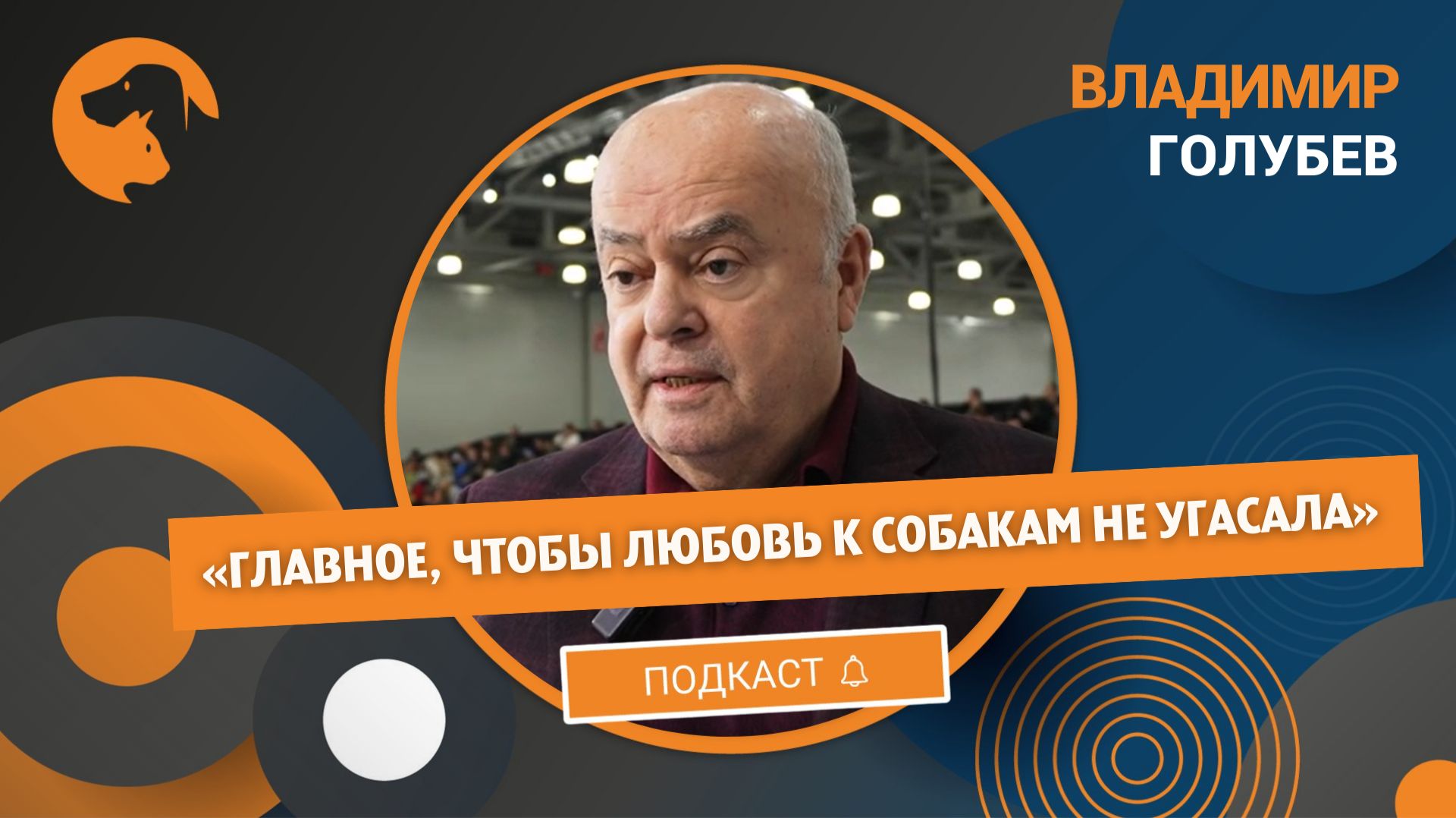 Рекорды «Евразии-2025»: выставка собрала 9 тысяч лучших собак
