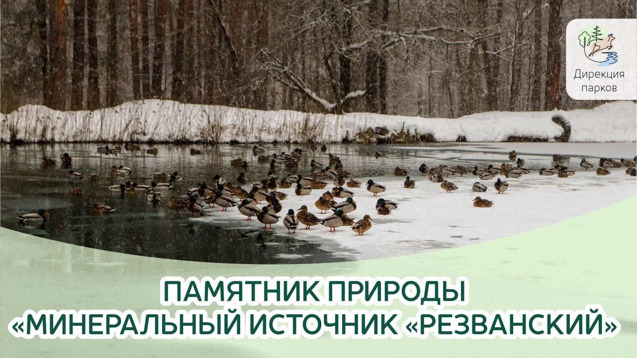 Памятник природы «Минеральный источник «Резванский»» (ООПТ)