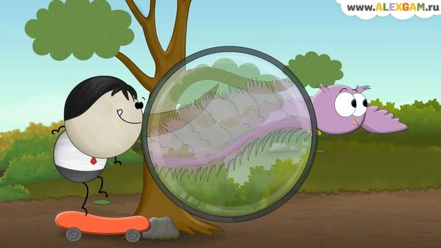 Почему совы летают так бесшумно?