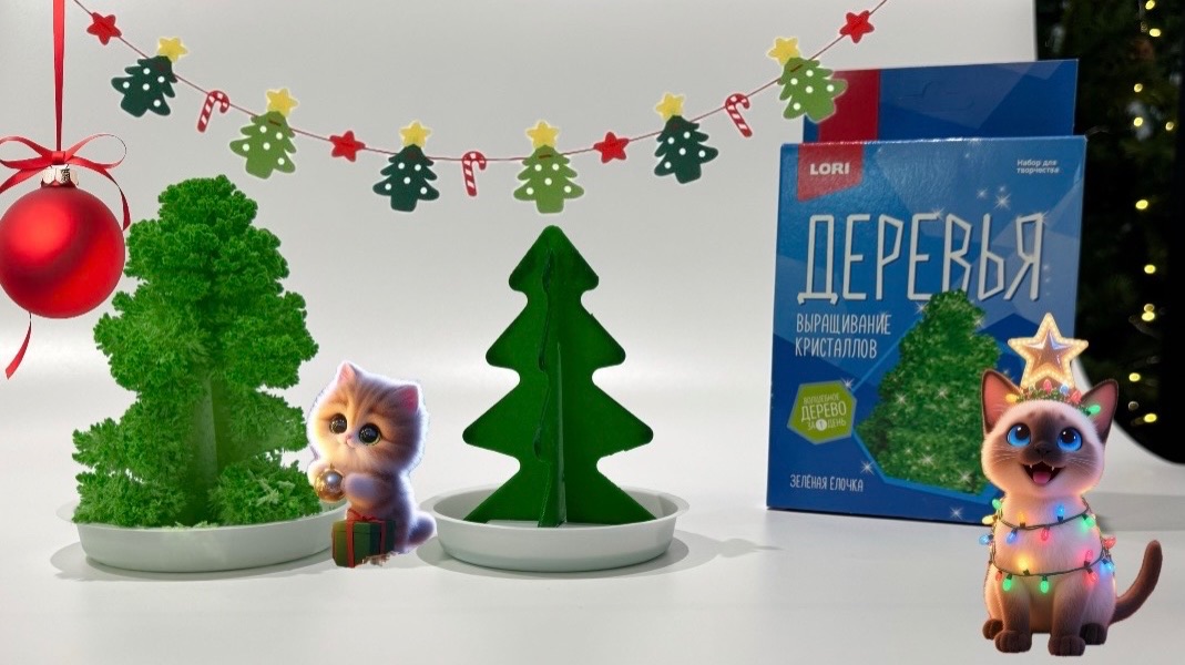 Выращиваем новогоднюю елочку из кристаллов. Распаковка. Играем вместе. Новый год
