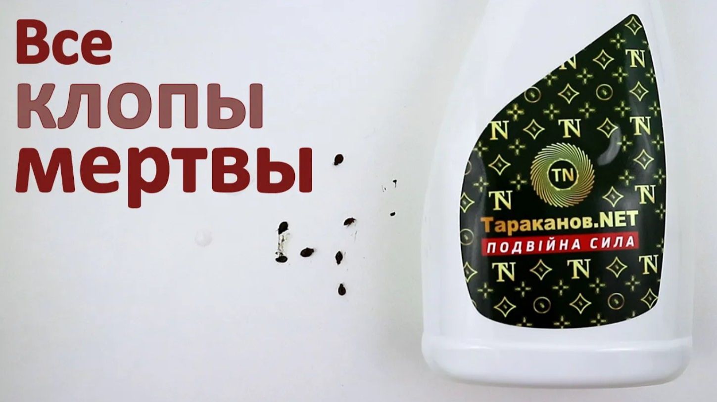 Как быстро Двойная Сила уничтожила постельных клопов?