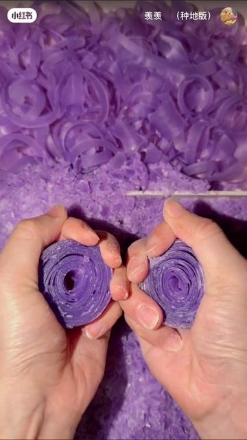 (◕‿◕✿)(◡‿◡✿)