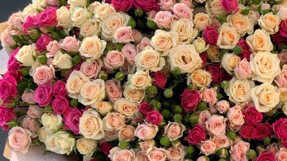 С Днём Рождения Мелисса!Поздравление с юбилеем25!