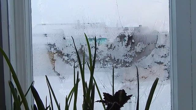 Огород круглый год