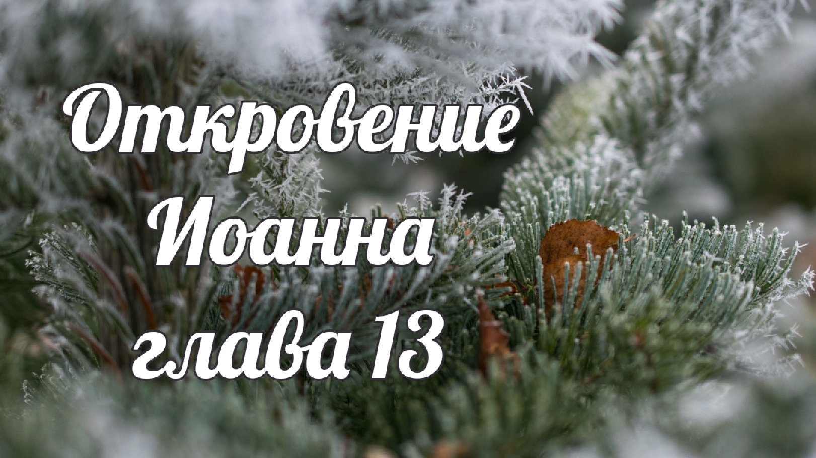 Откровение Иоанна глава 13