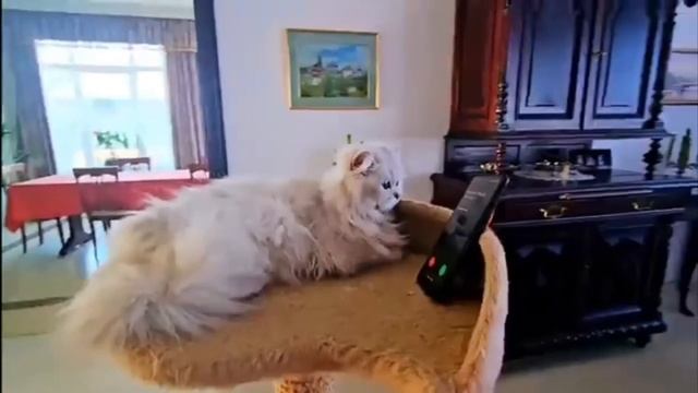 Побег от Чика.ЕХЕ(Некиса и Вася VS Чика.ЕХЕ и дух Блиппи)часть 2