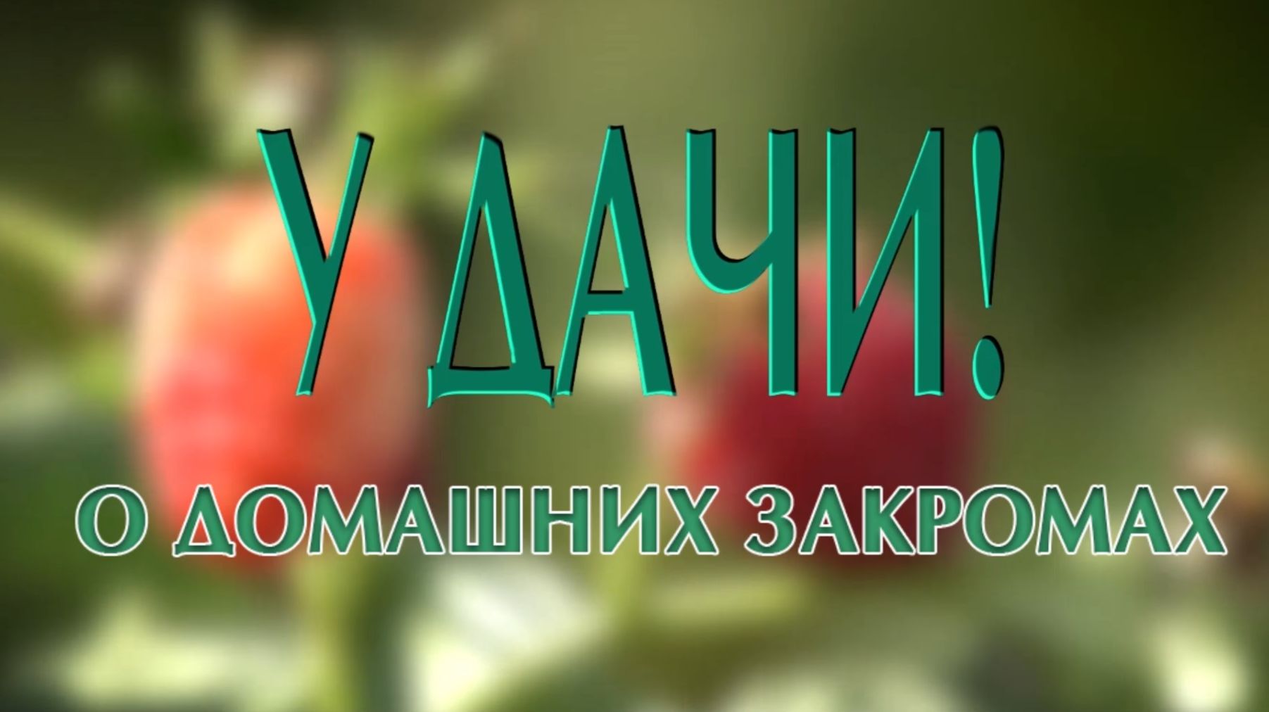 У Дачи: о домашних закромах