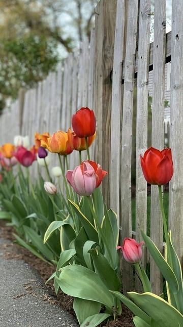 ♬ Тебе тайну одну я открою (исп. и муз. Светлана Щитникова, сл. Сергей Чебунин)