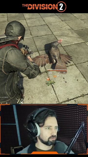 Лис орнитолог - выбил орла в темной зоне 😁 Темная зона ⚡ Division 2 ПВП PVP