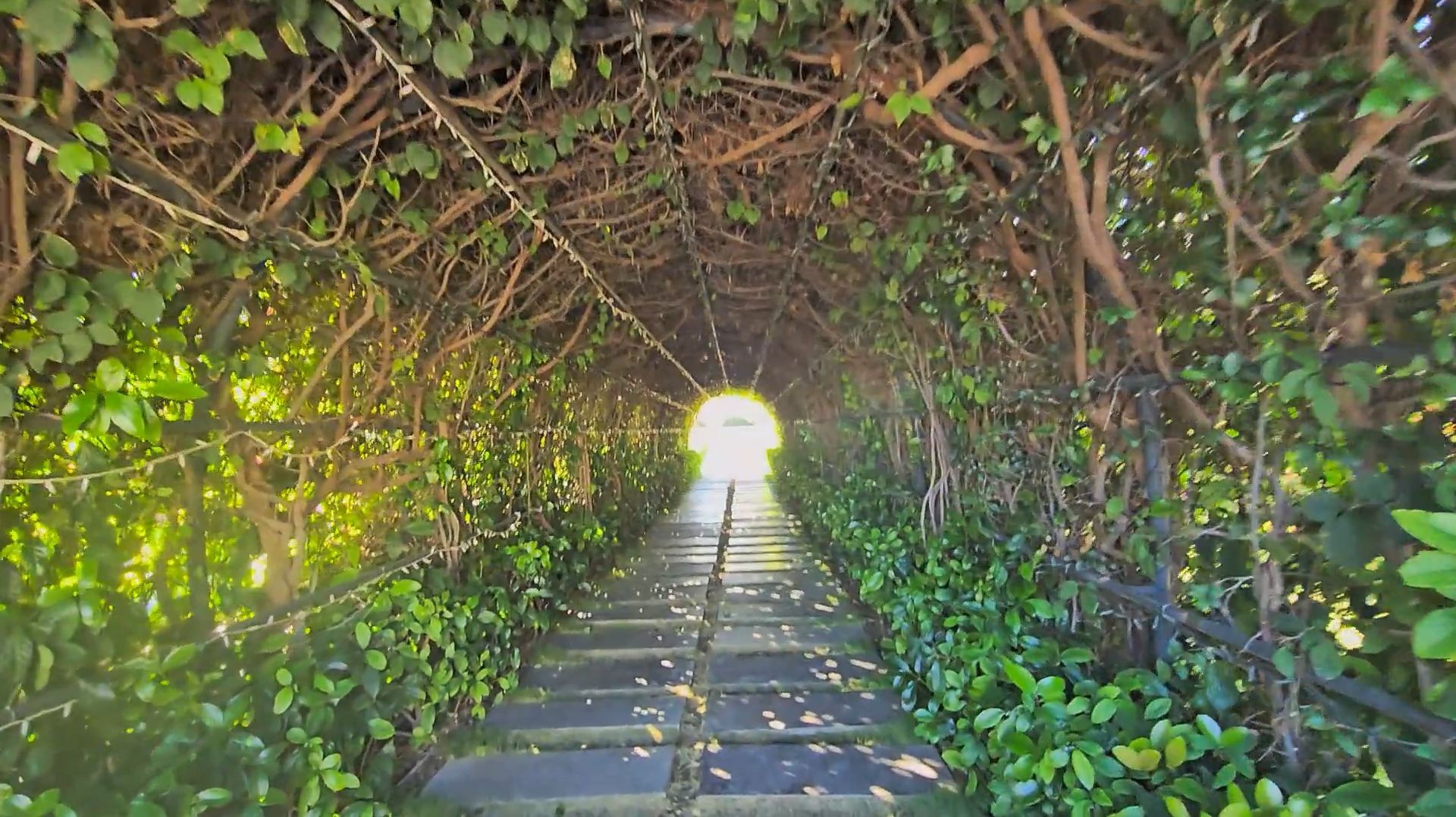 Набегалась, на почту сходила. Ищу денежные переводы