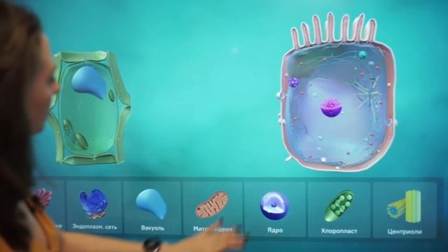 Биология. Цитология 5-11 класс