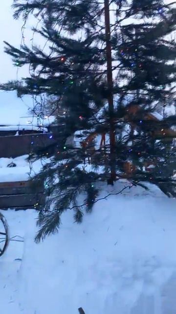 Участник 7 (Падунский район)