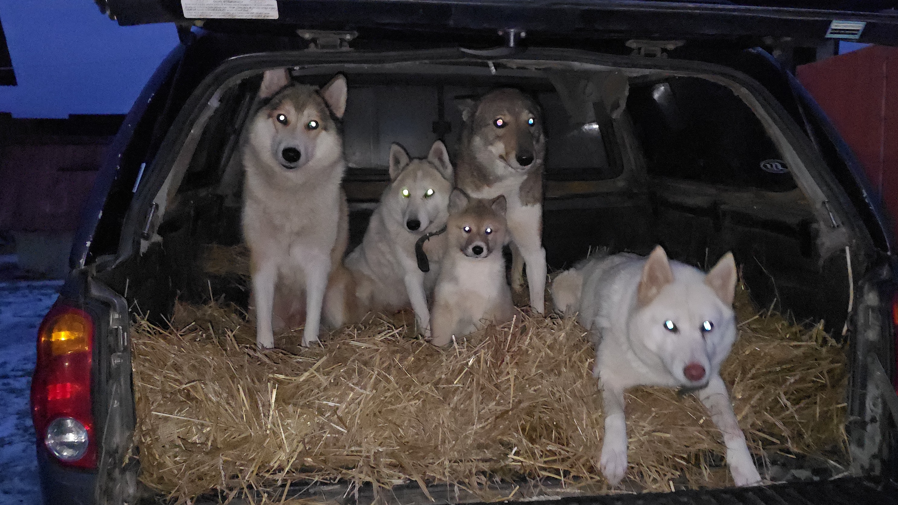 Все вместе на машине