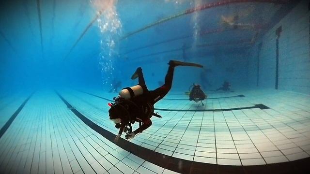 Курс PADI Fin Specialist (Специалист по плаванию в ластах) 20 - 21 декабря 2025