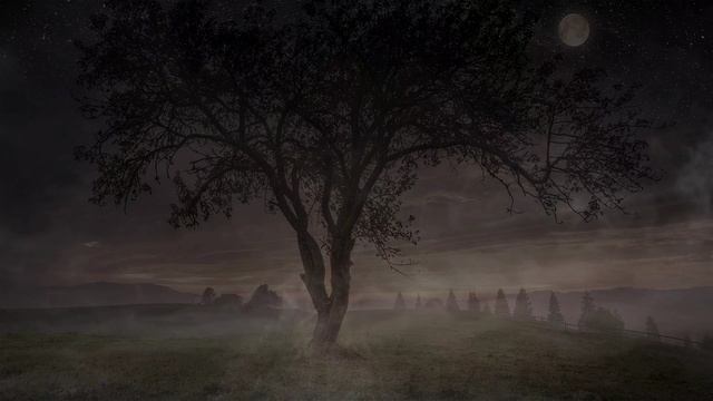 19 - The Most Precious