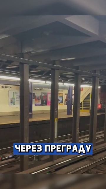 Взрыв на рельсах Нью-Йорка: велосипед, брошенный под поезд, вызвал массовые задержки в метро