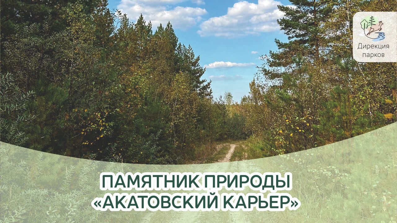 Памятник природы «Акатовский карьер» (ООПТ)