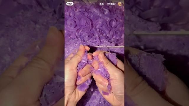 (◕‿◕✿)(◡‿◡✿)