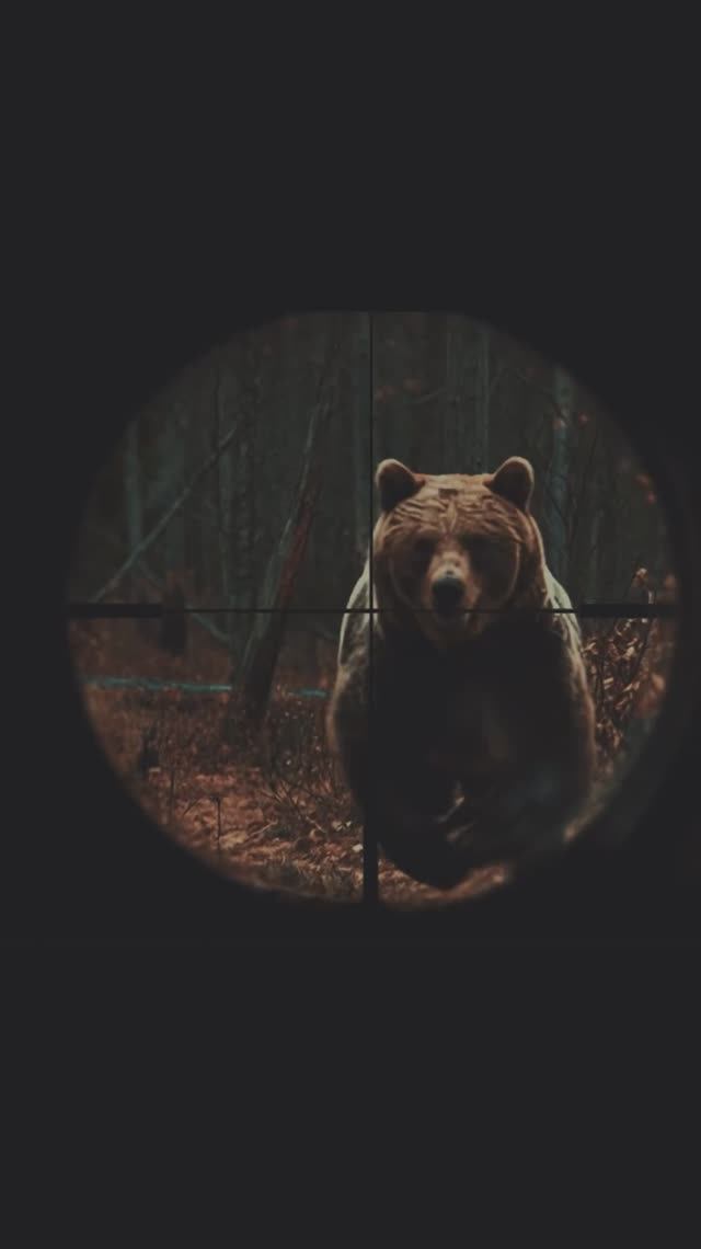 Охота без права на ошибку