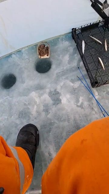 Блесна флэш от Mr.Musurok в деле 🎣