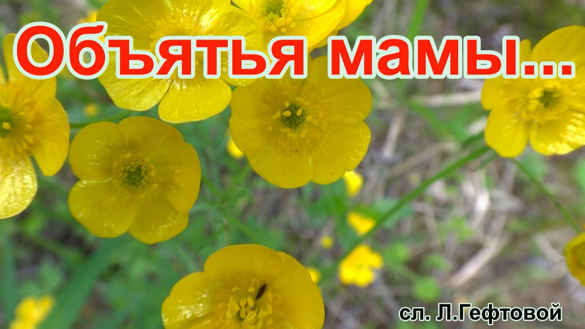 Объятья мамы. Песня