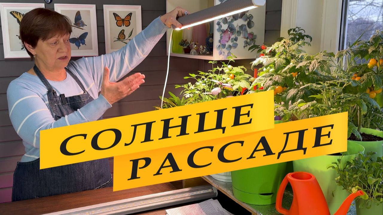 Полный обзор фитосветильников ZEMA.