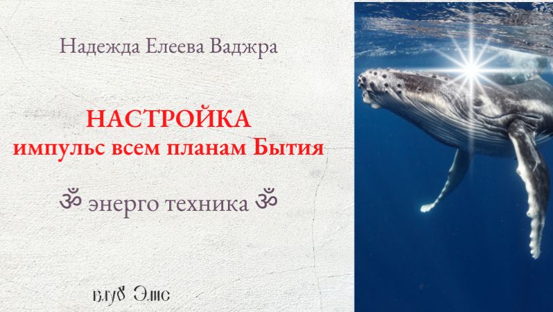 Медитация Благости