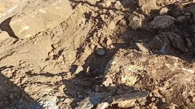 6,7 декабря 2025г.Заболела.Обновка) .mp4