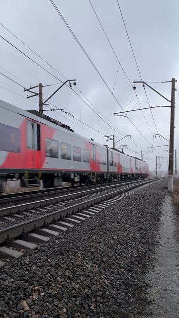 Ласточка, пл. Ока, 22.12.25