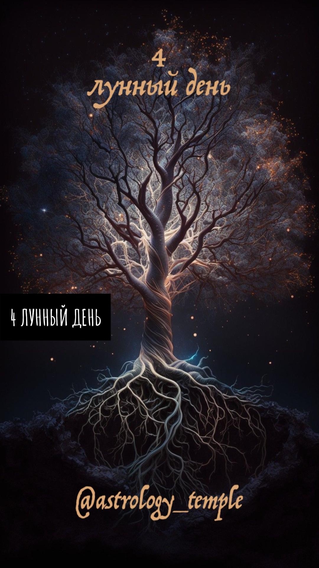 📅 Вторник 23.12.2025 🌛 4 Лунный день 🌒  Растущая Луна в Водолее (для Водолеев знаковое время) 🪄