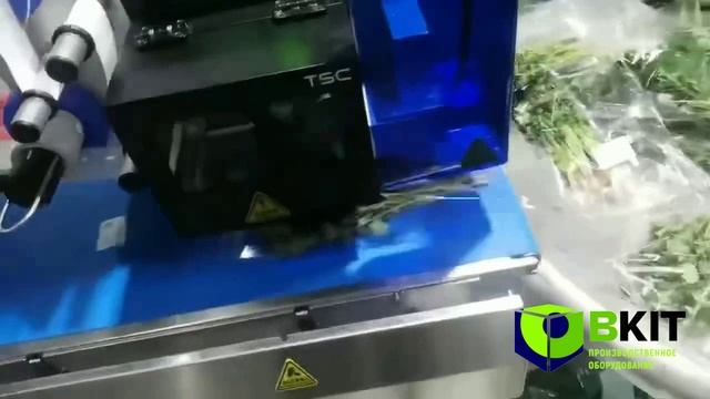 Он-лайн-весы (чеквейер) с принтер-аппликатором (этикетировщиком) с пневмо-переносом этикетки сверху