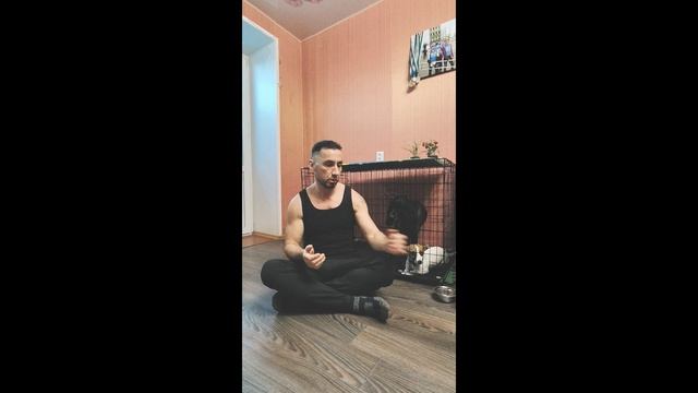 У вас никогда не получиться научить собаку команда. Неудача в дрессировке собак. Причины.