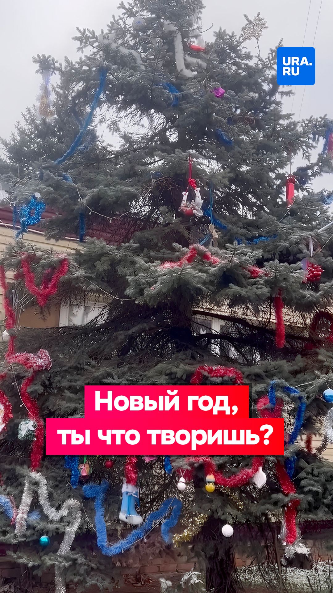 Новый год, ты что творишь?