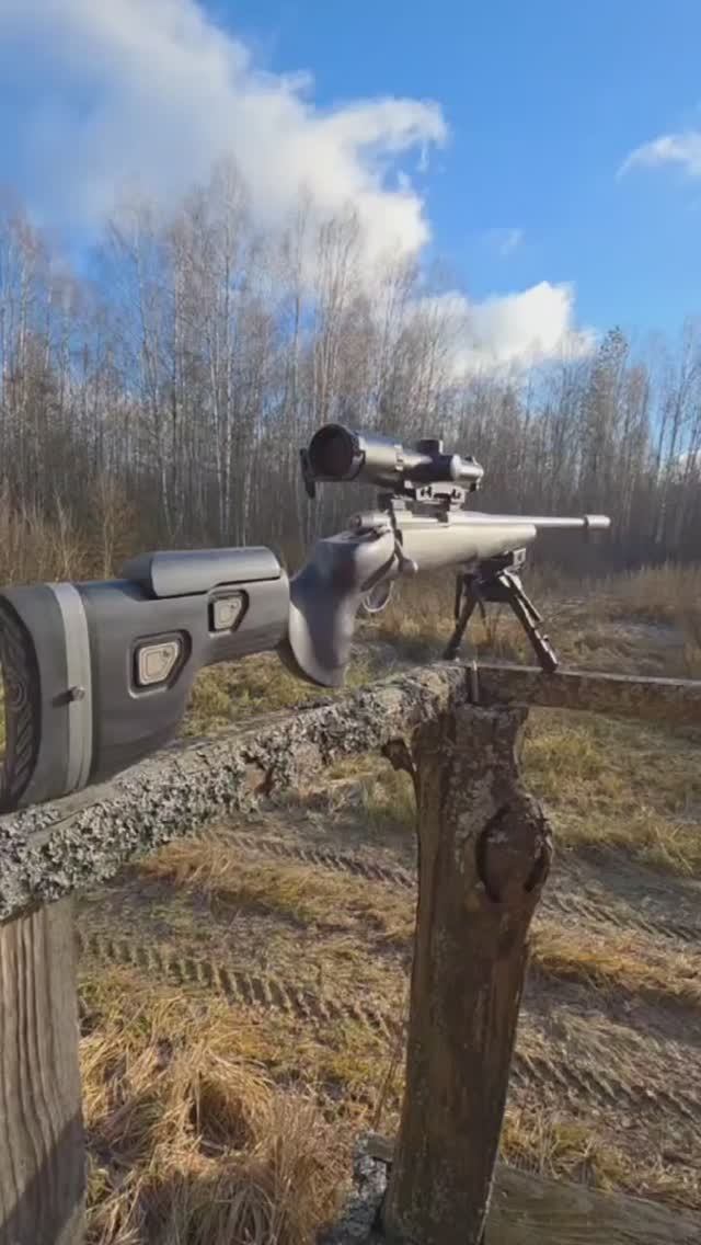 натюрморт 2025