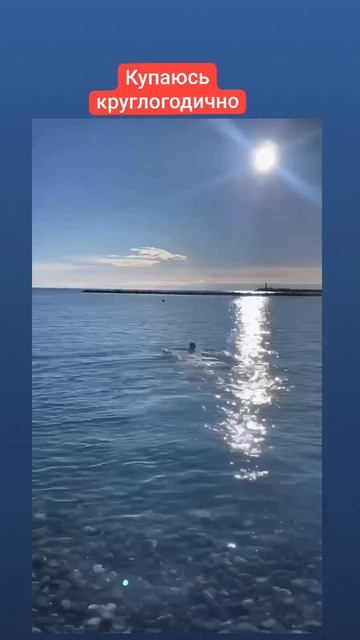 20 декабря в Сочи