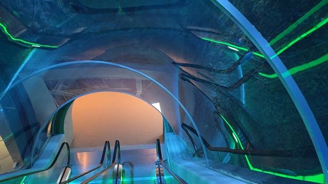 аквариум круизного терминала