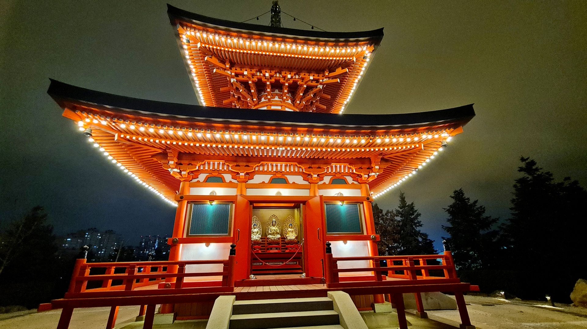 Парк Галицкого 16.12.2025, фильм второй!!!