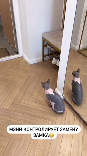 Deni_Mani. Часть 1