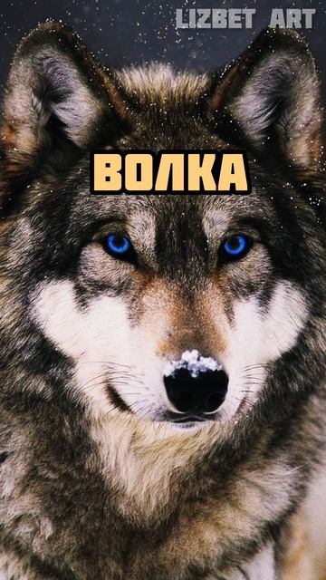 Рисую несуществующее животное🐺+🦚=❓(ч.116) #tiktok #shorts #art #gouach